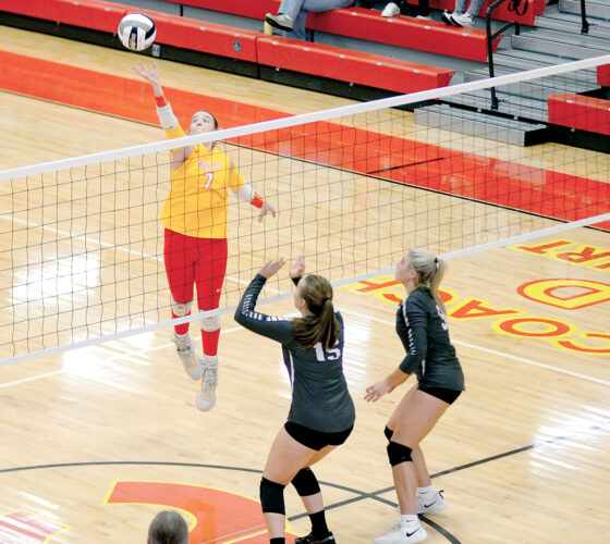 Creek bounces back with senior night sweep | News, Sports, Jobs ...